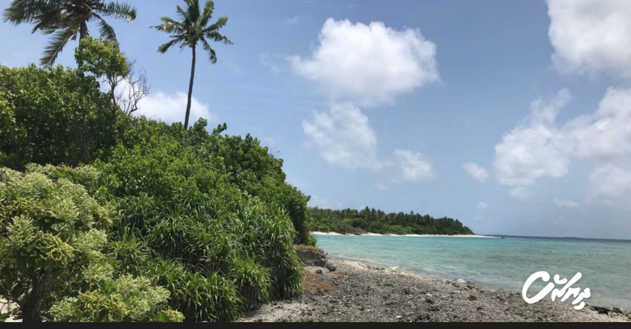 Kinolhas gondudhoh himaayaiy kurumuge mashroouge masakkaiy fshaifi ...