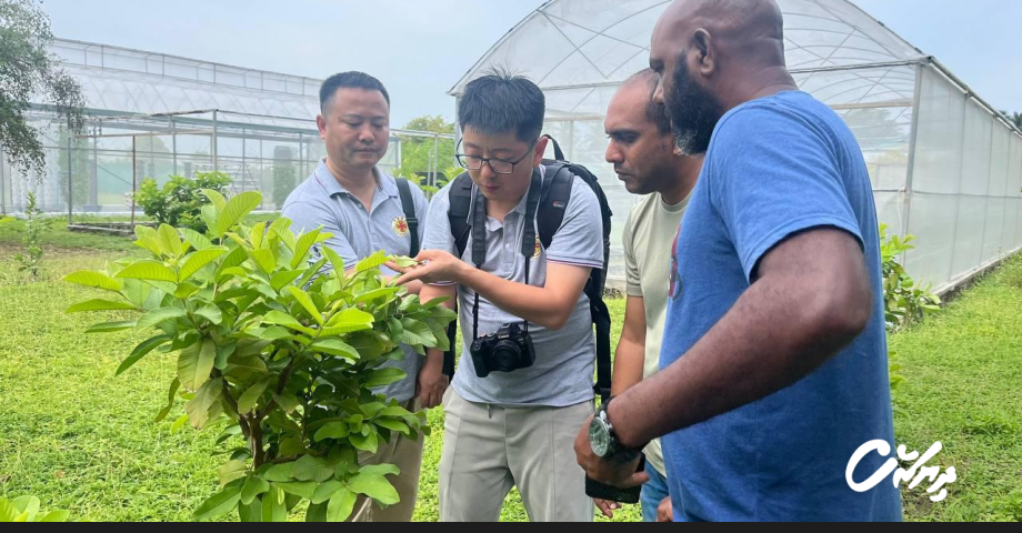 Ruh gahah dhimaavamun anna fanifaksaage balithah control kuran ...